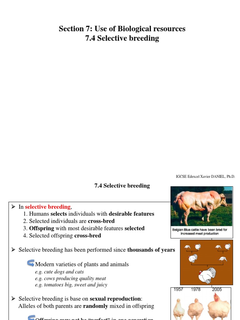 IGCSE Biology Edexcel Section 7 Use of B PDF | PDF | Science & Mathematics