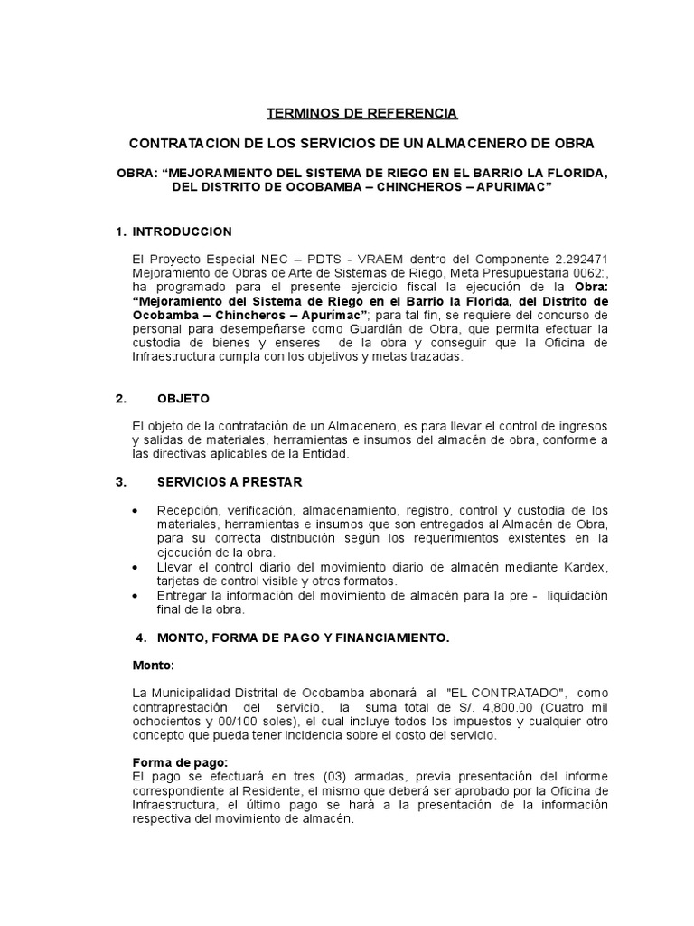 TDR - Almacenero | PDF | Economias | Gobierno