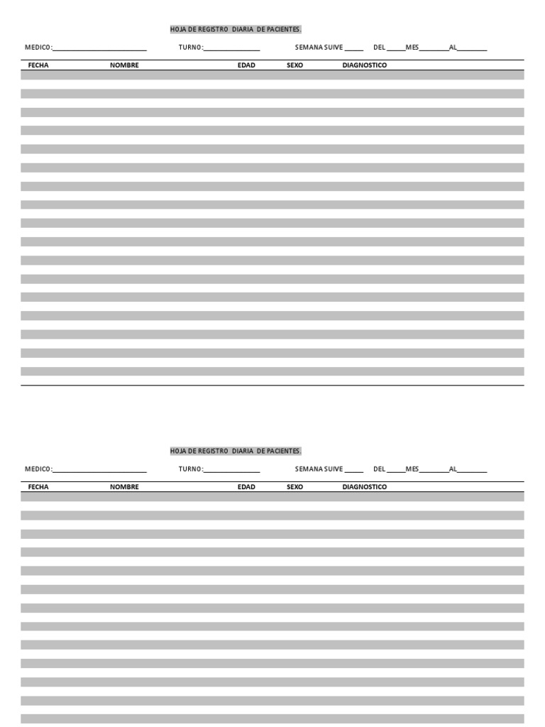 Hoja de Registro Diaria de Pacientes | PDF