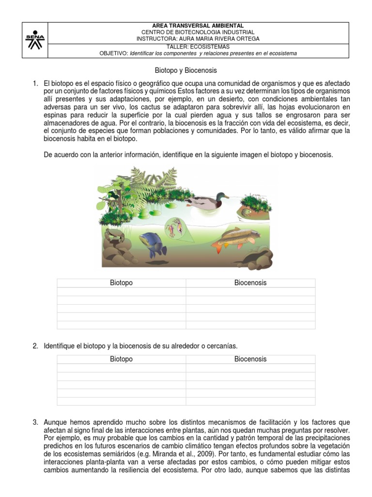 Taller de Ecosistemas | PDF | Ecosistema | Entorno natural
