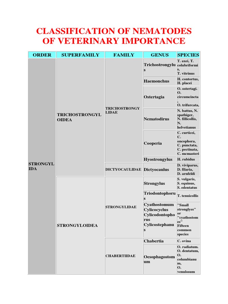 Classification of Nematodes | PDF | Nature