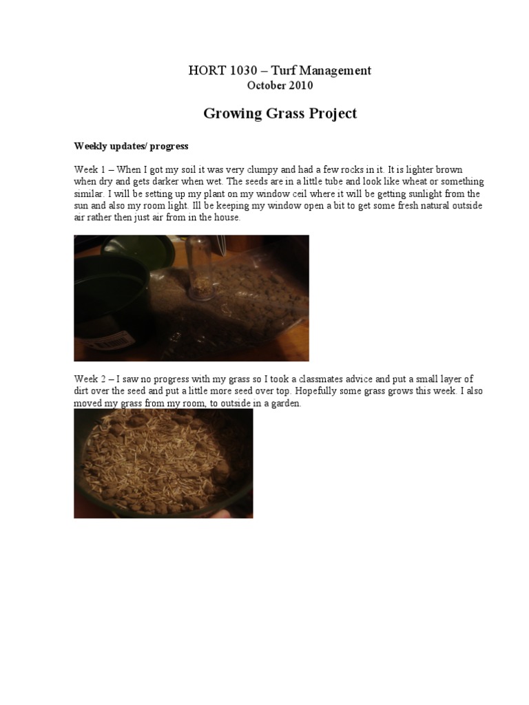 Growing Grass Project | PDF | Soil | Seed