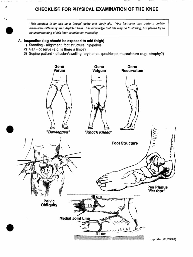 Checklist For Physical Examination of Knee | PDF | Knee | Dance Science