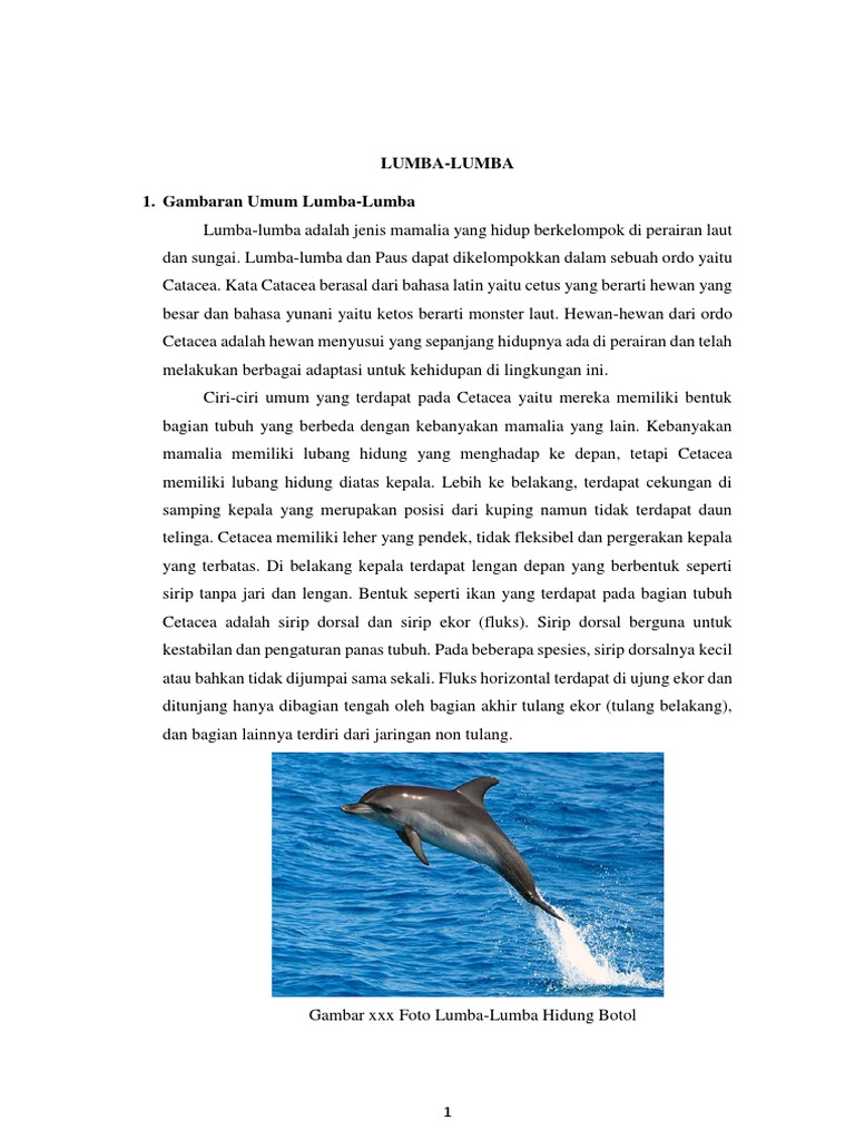 Lumba Lumba | PDF