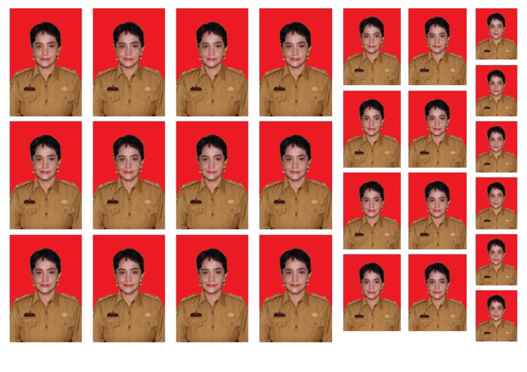 Pas Foto Asn Merah | PDF