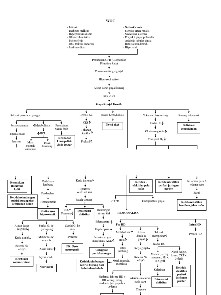 WOC CKD - HD - Fix | PDF