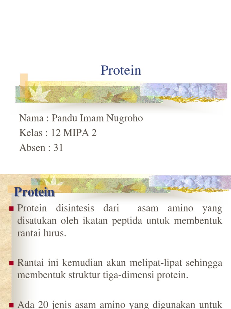 Kimia Makromolekul Protein Kelas 12 | PDF