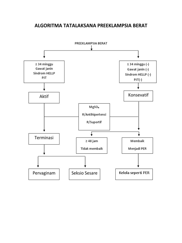Algoritma Tatalaksana Preeklampsia Berat | PDF