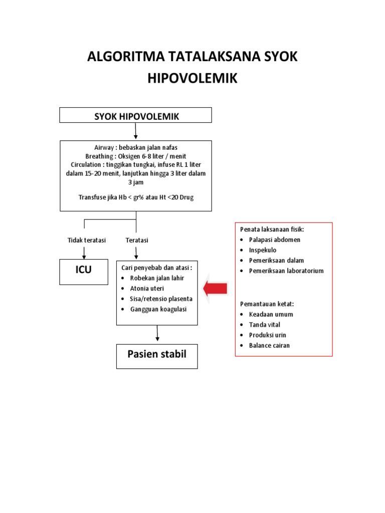 Algoritma Tatalaksana Syok Hipovolemik | PDF