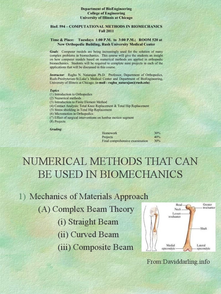 FEM Applications in Biomechanics | PDF | Finite Element Method | Physics