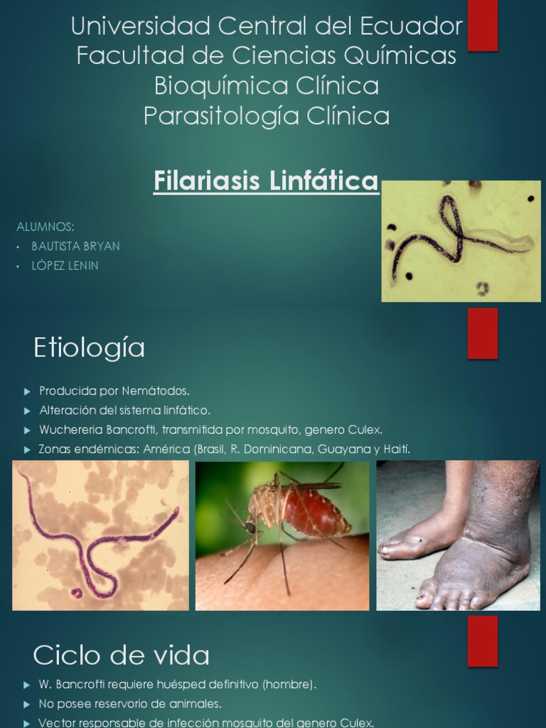 Filariasis 1.0 | PDF | Ciencias de la Salud | Especialidades Medicas
