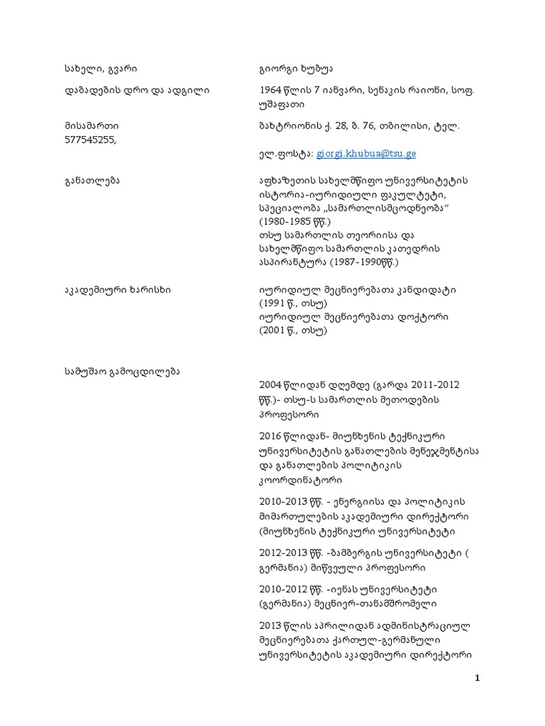 Giorgi Khubua CV-geo PDF | PDF