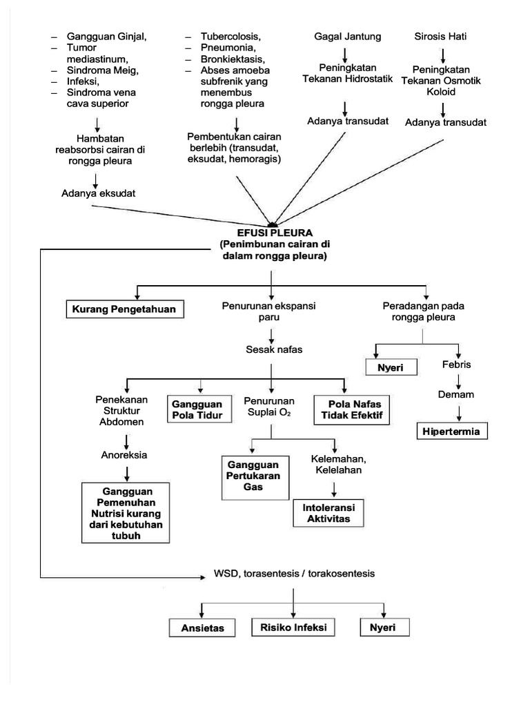 Pathway Patofisiologi Efusi Pleura | PDF