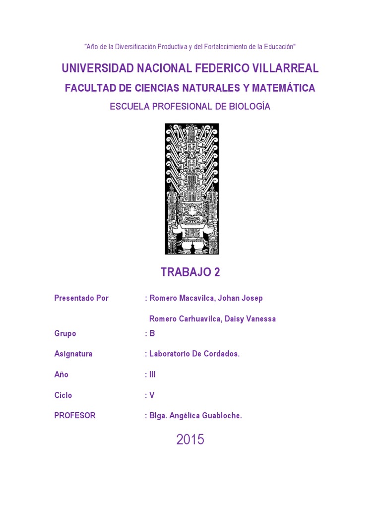 Anatomía Externa de Condrictios | PDF | Tiburones | Animales acuáticos