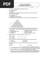 (5 Basico) Piramide Social Colonial | PDF