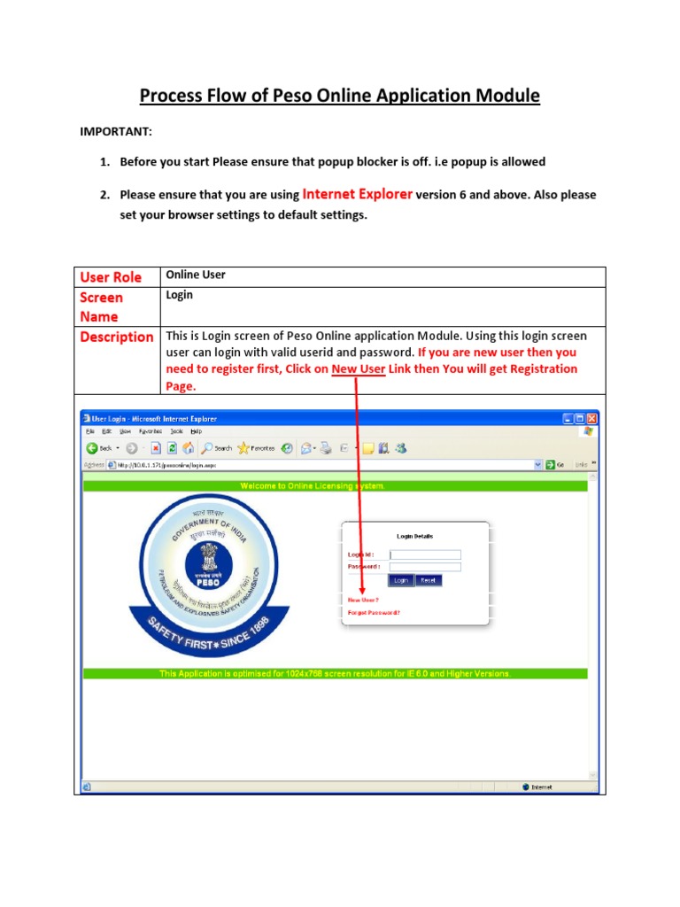 Peso Online Application Process Flow | PDF | Internet | Password