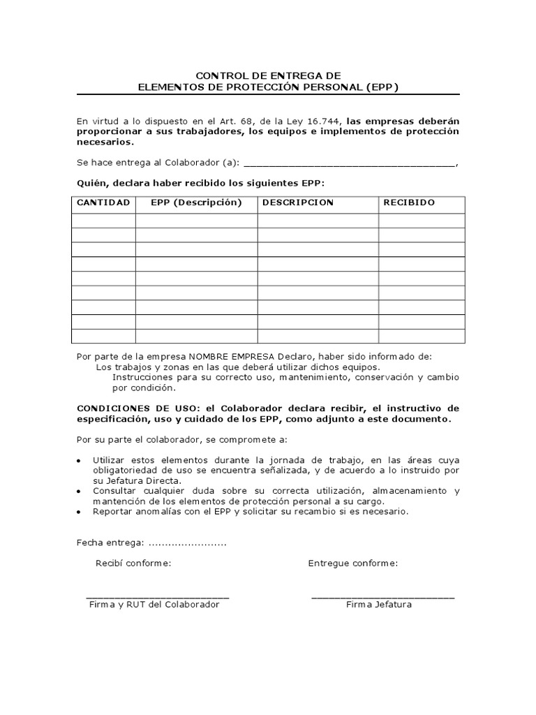 Modelo Control Entrega EPP | PDF