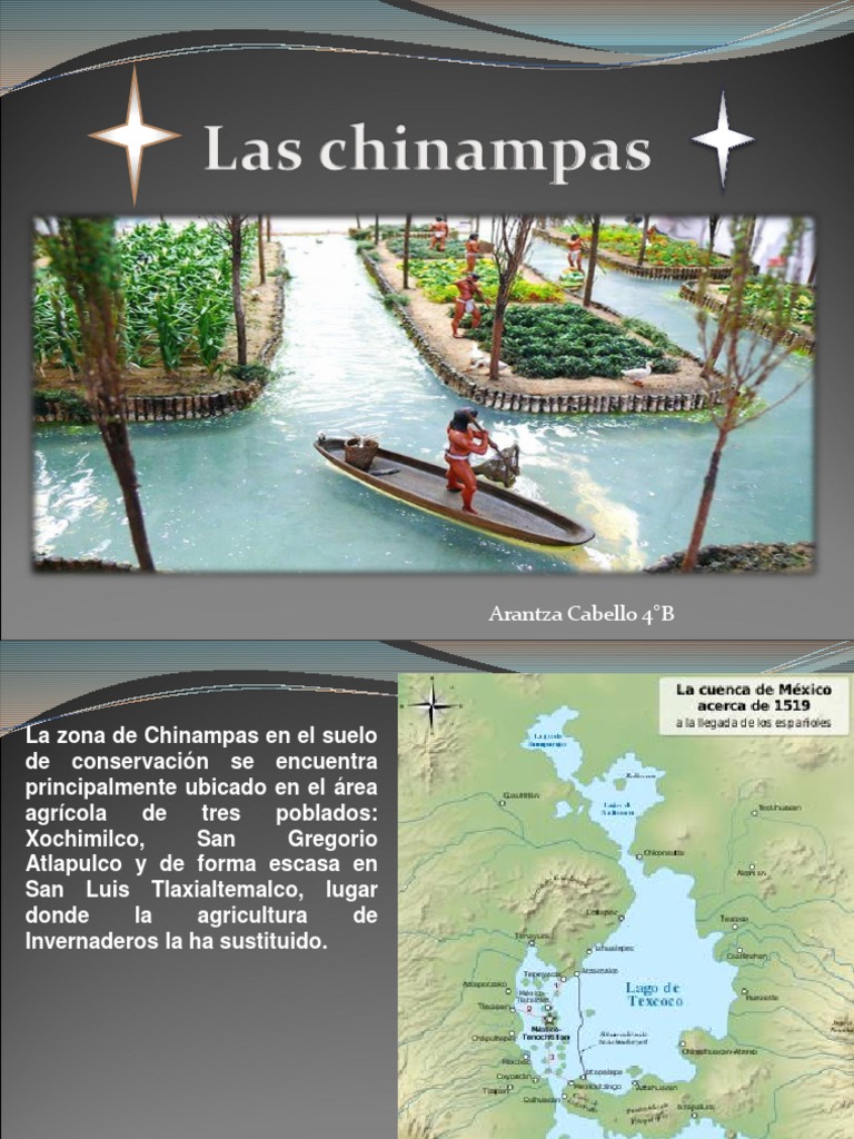 Chinampas: Agricultura Flotante en México | PDF | Hogar, jardinería y ...