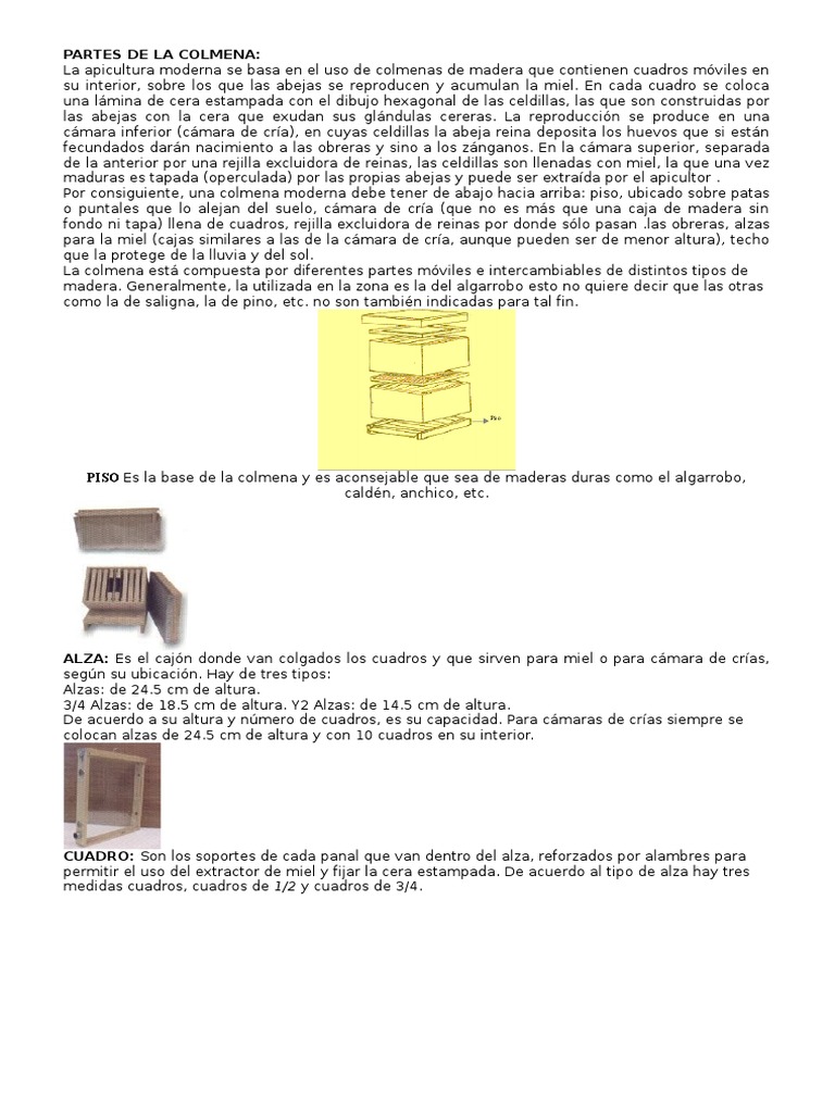 Partes de La Colmena | PDF | Apicultura | Colmena