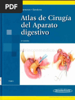 Incisión Rocky Davis | PDF | Medicina CLINICA | Anatomía