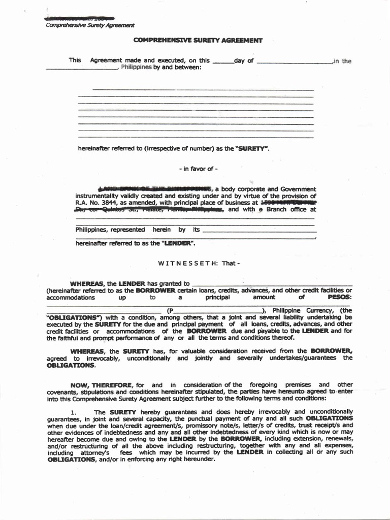 Comprehensive Surety Agreement | PDF