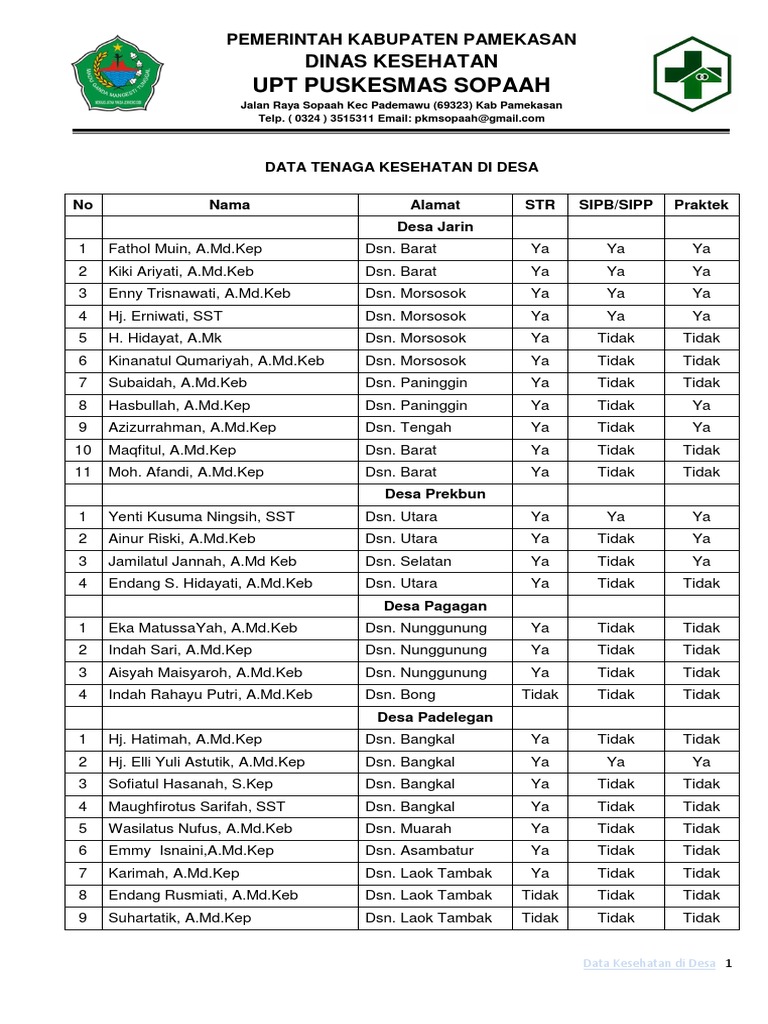 Rekap Data Tenaga Kesehatan Di Desa - UPT Puskesmas Sopaah | PDF | Gaya ...
