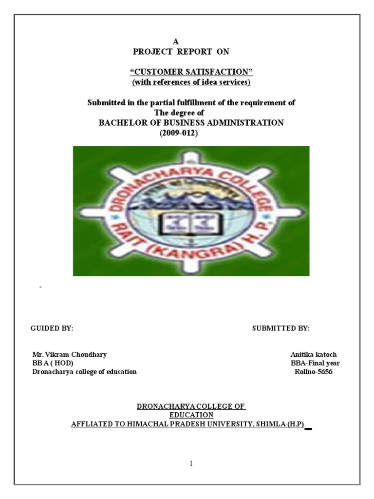 Bba Final Year Project PDF | PDF | Customer Satisfaction | Survey ...