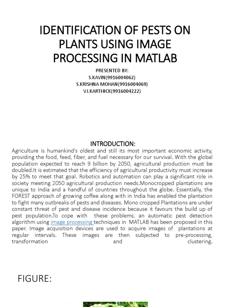 Pest Identification Using Matlab | PDF | Digital Image | Rgb Color Model