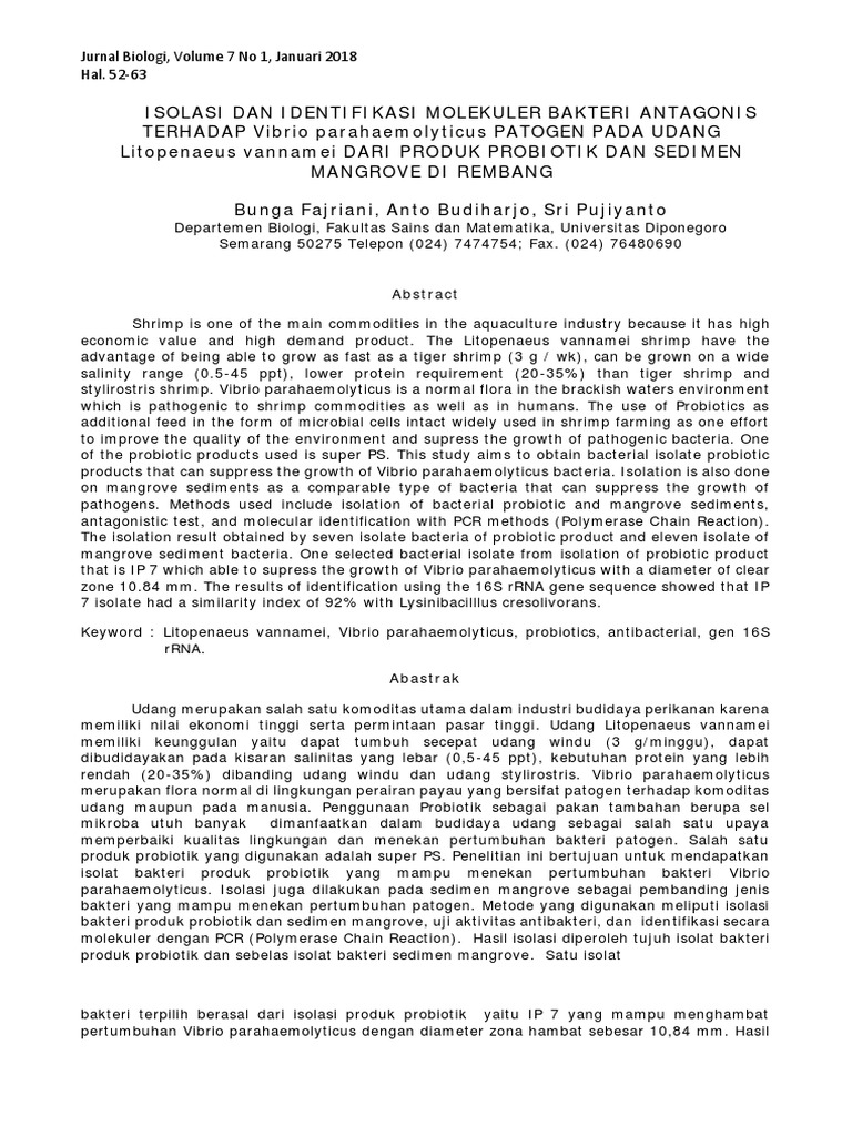 Isolasi Dan Identifikasi Molekuler Bakteri | PDF | Ribosomal Rna | Bacteria