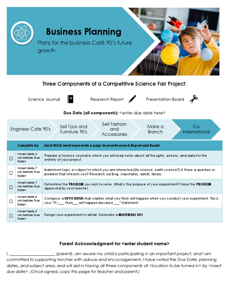 Three Components of A Competitive Science Fair Project | PDF