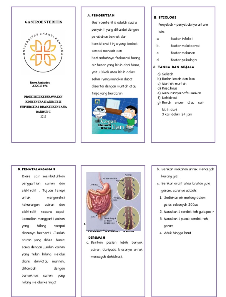 Leaflet Gastroenteritis | PDF