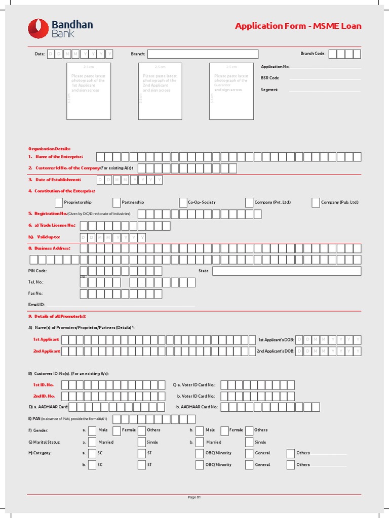 MSME Loan Application Form | PDF | Credit | Finance & Money Management