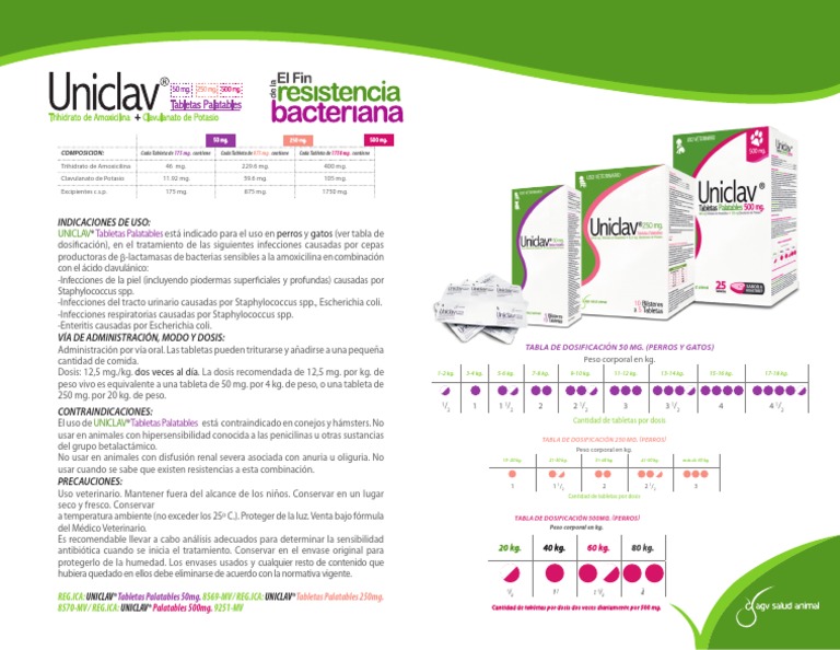 Ficha Tecnica Uniclav Tabletas Palatables | PDF | Especialidades ...