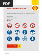 Total Golden Rules | PDF | Personal Protective Equipment | Safety