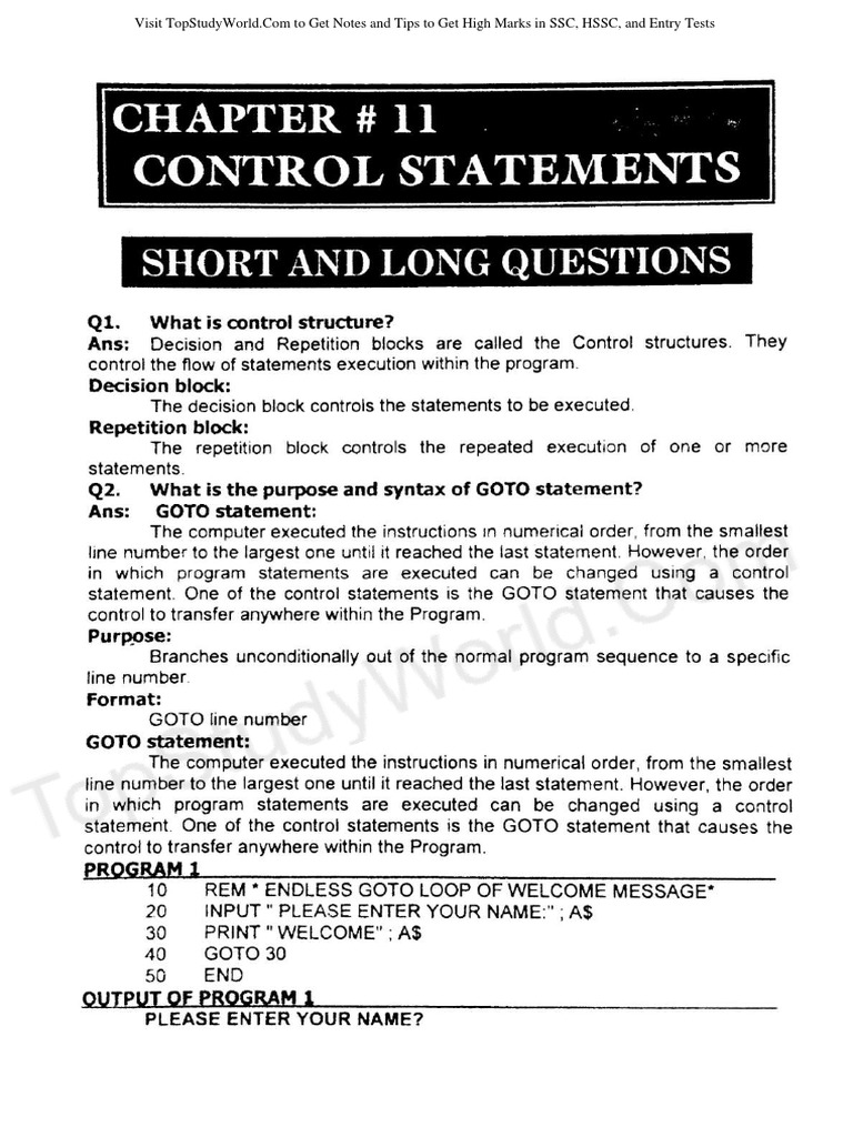 Chapter 11 Computer Science 10th Class | PDF
