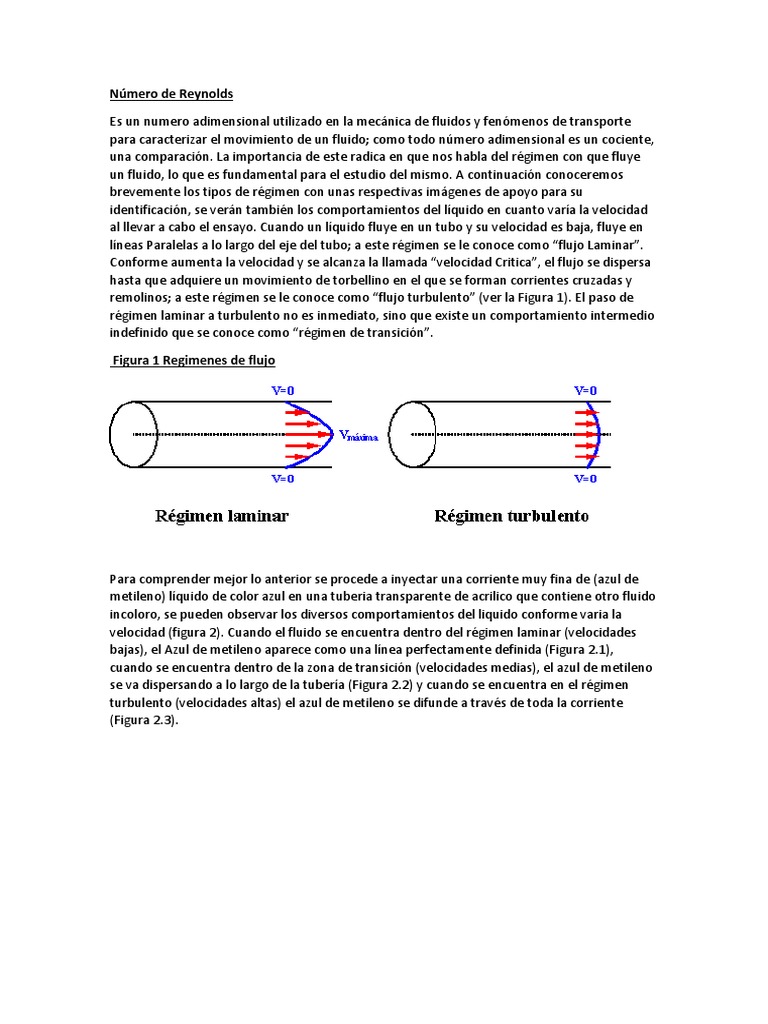 Caracterización del flujo de un fluido a través de los números de Reynolds y Froude | PDF ...