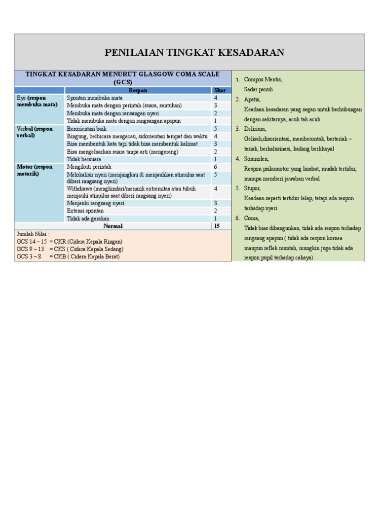 Tingkat Kesadaran Menurut Glasgow Coma Scale (GCS) | PDF