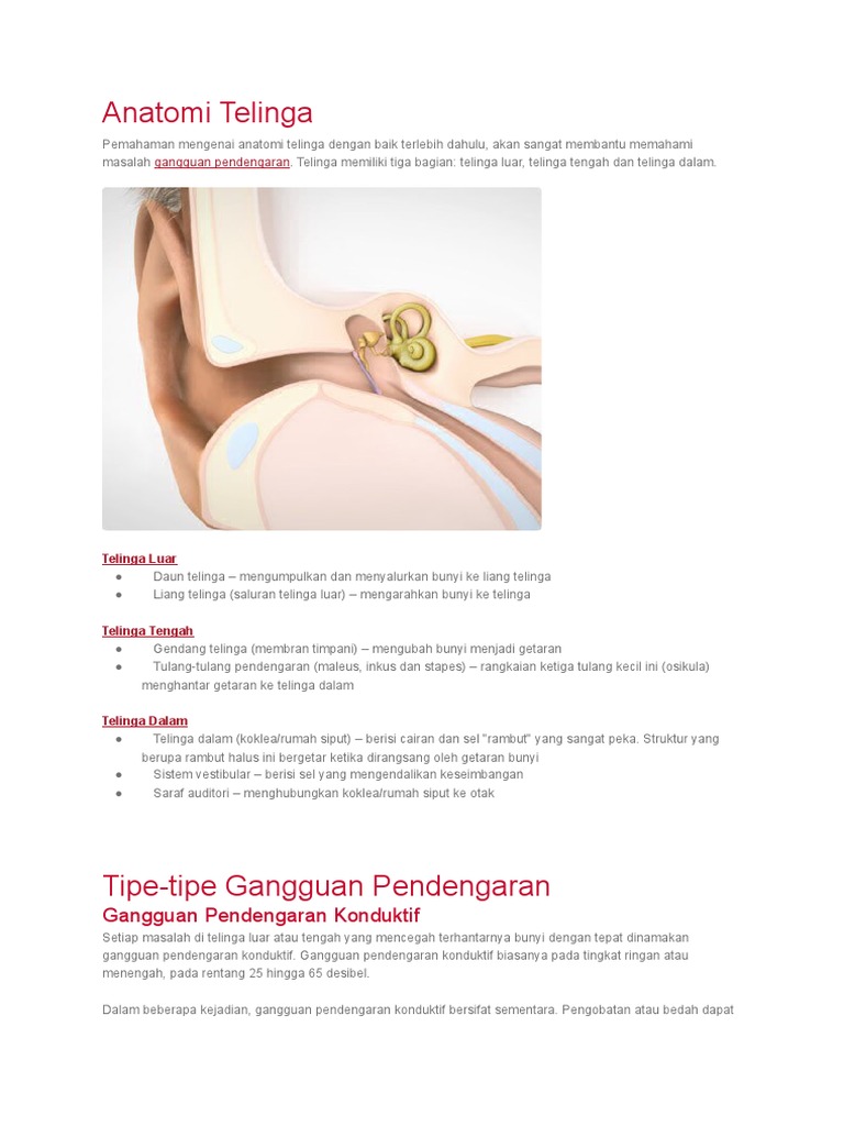 Anatomi Telinga Tipe-Tipe Gangguan Pende | PDF