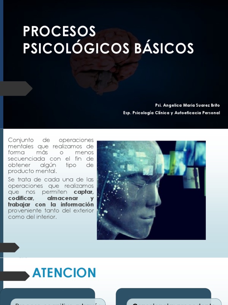 Procesos Psicologicos Basicos | PDF | Memoria | Estímulo (fisiología)