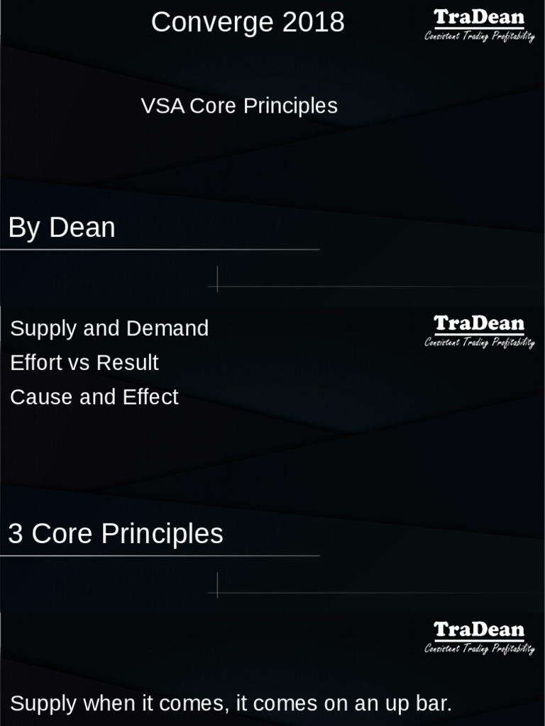 VSA Core Principles | PDF
