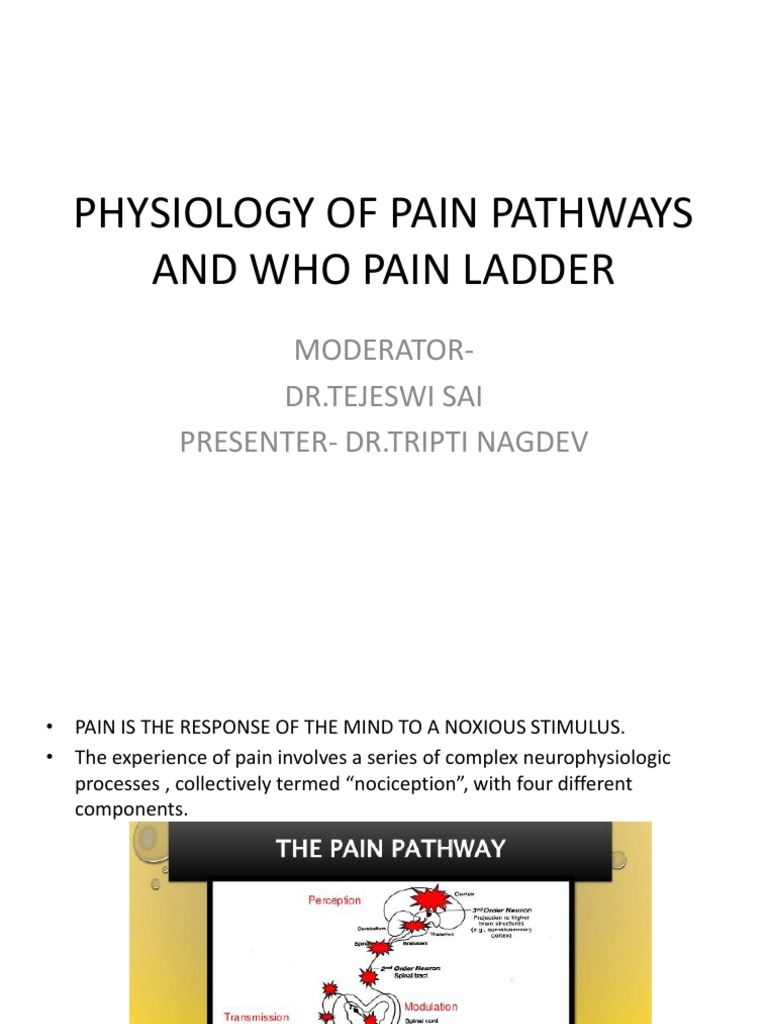 Physiology of Pain Pathways and Who Pain Ladder | PDF | Pain | Nervous ...