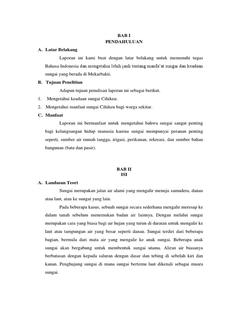 Laporan Pengamatan Sungai | PDF