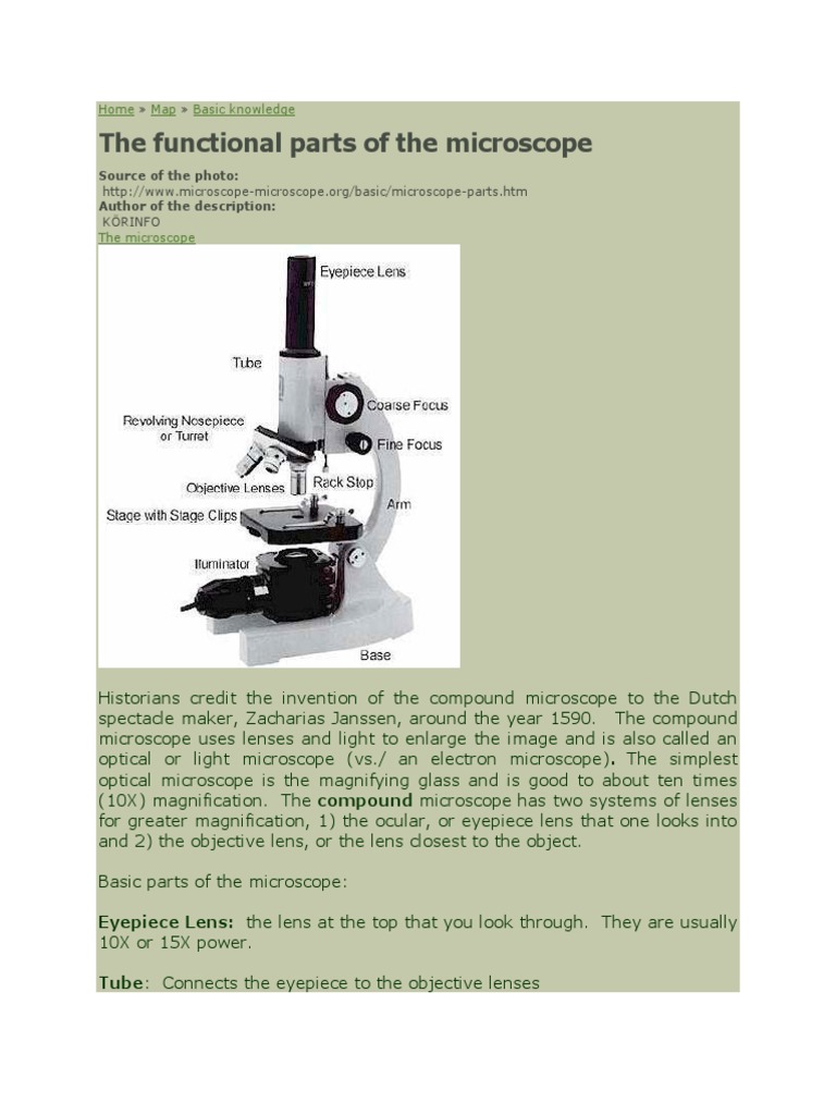 Microscope Handouts G7 | PDF | Microscopy | Lenses