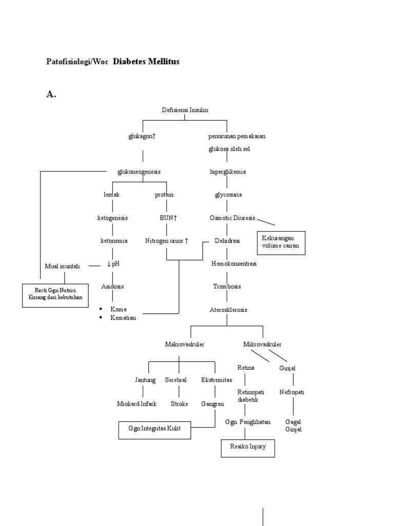 Patofisiologi Dan Woc Diabetes Melitus | PDF