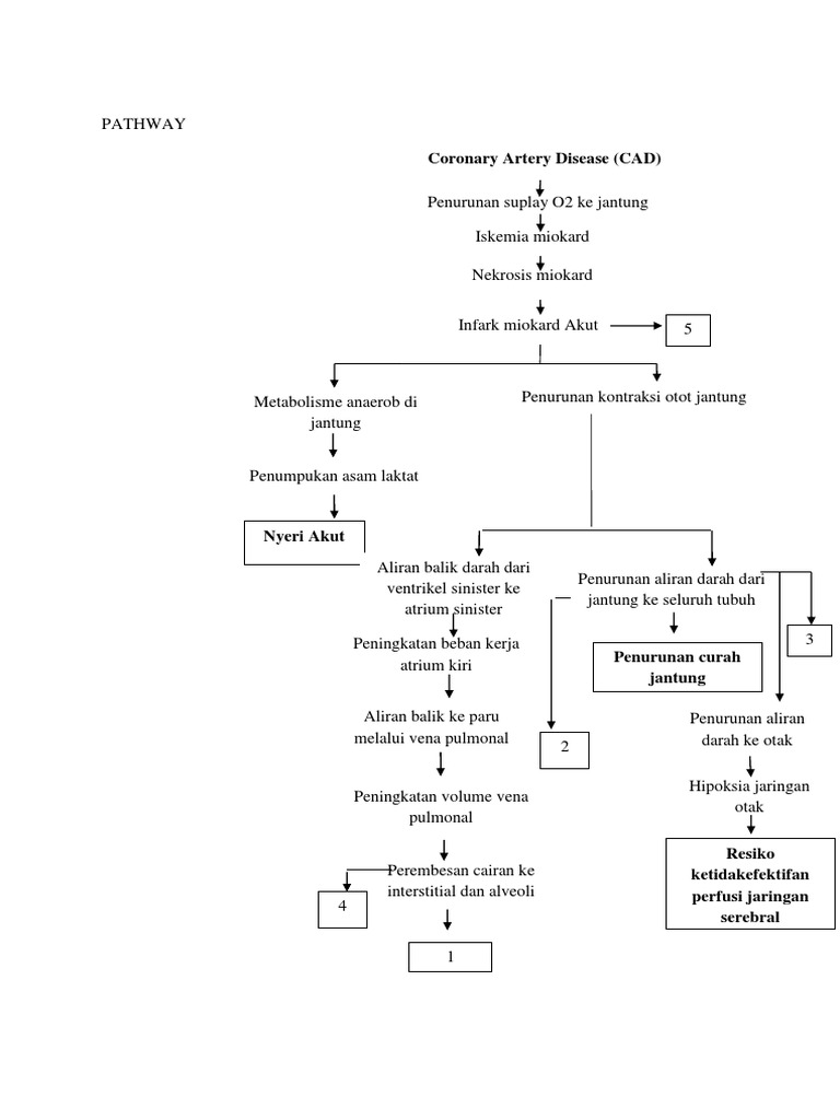 Pathway Penyakit Arteri Koroner | PDF