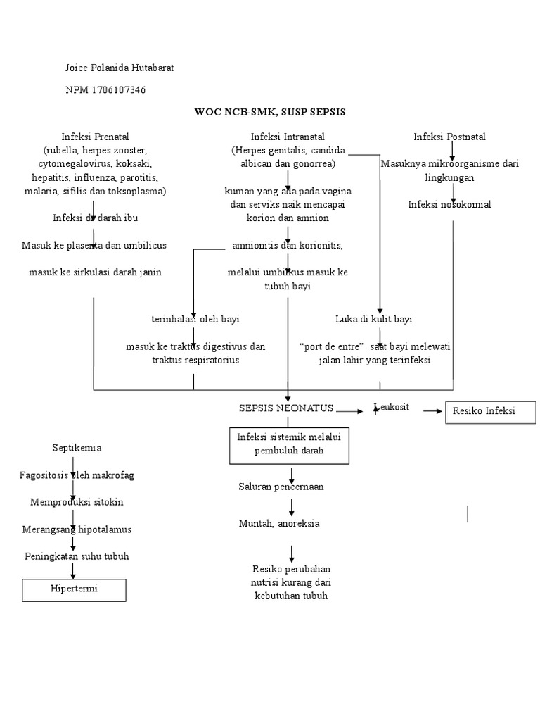Woc NCB SMK, Susp Sepsis | PDF
