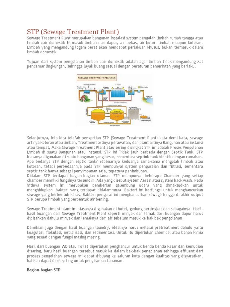 Pengertian STP | PDF