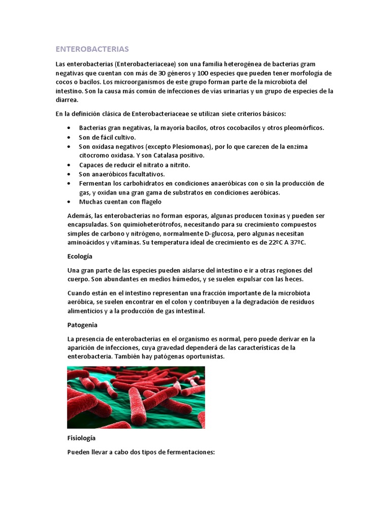 Enterobacterias | PDF | Biología | Microorganismo