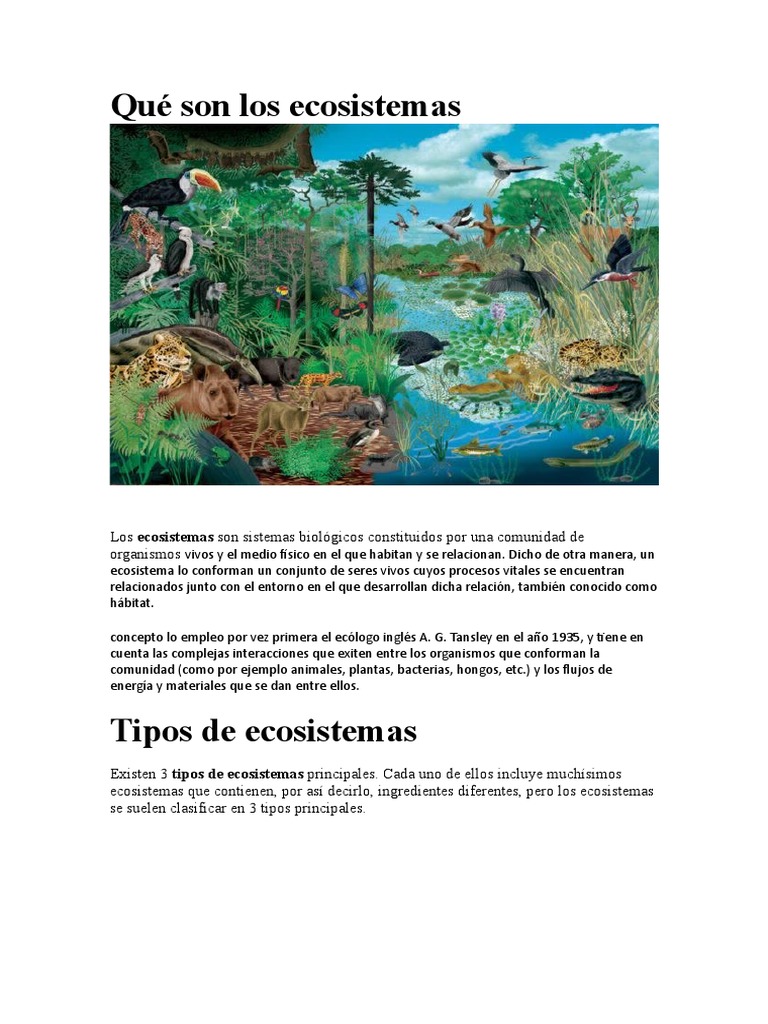 Qué Son Los Ecosistemas | PDF | Ecosistema | Biogeografia