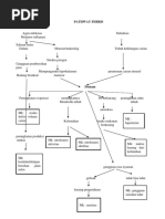 Pathway Febris | PDF